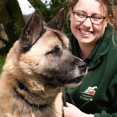Margaret Green Animal Rescue | Dogs in Dorset & Devon