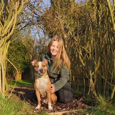 Margaret Green Animal Rescue | Dogs in Dorset & Devon