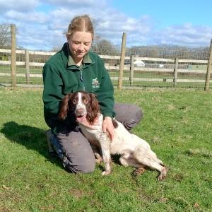 Margaret Green Animal Rescue | Dogs in Dorset & Devon