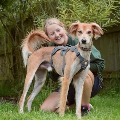Margaret Green Animal Rescue | Dogs in Dorset & Devon