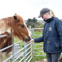 Margaret Green Animal Rescue | Careers