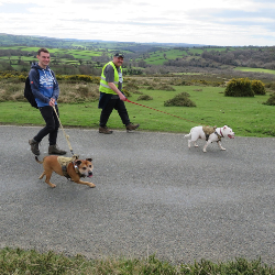 Sponsored Walk Success
