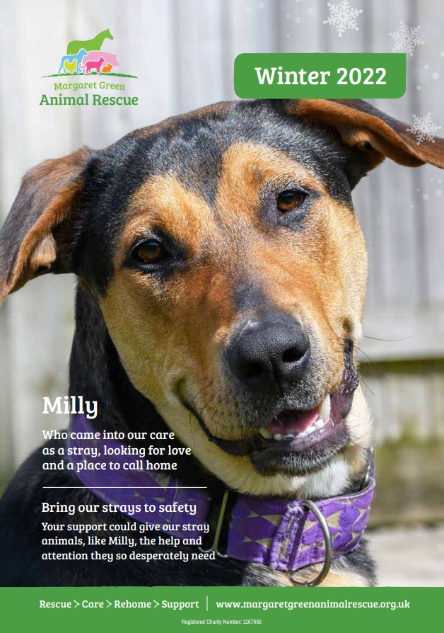 Margaret Green Animal Rescue | Previous Magazines